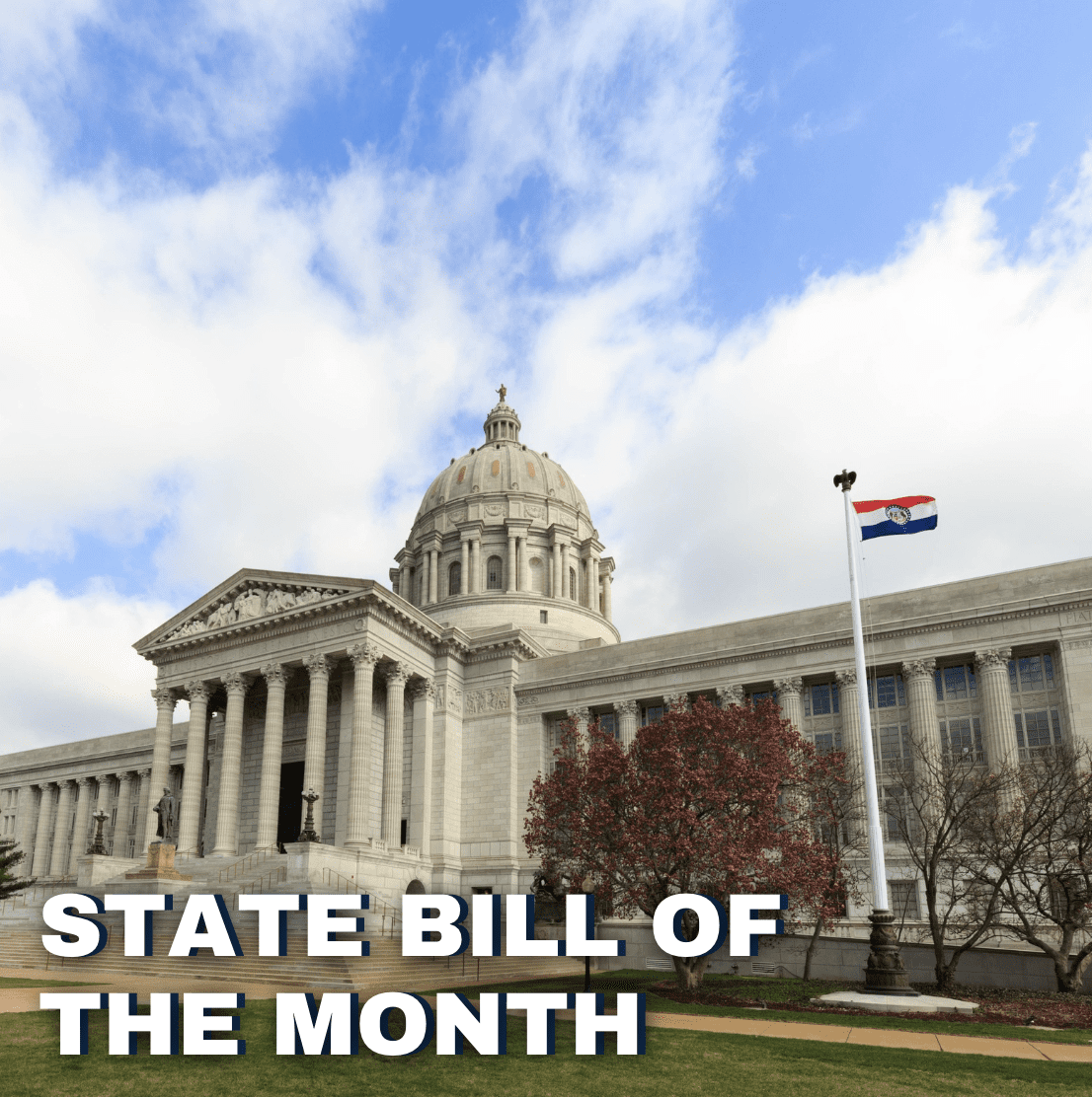 State Bill of the Month – January 2025: Missouri HB 425 - Taxpayers ...